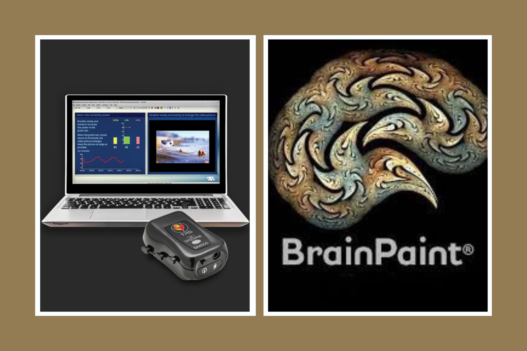 Home - Jeena Jacob Inc.